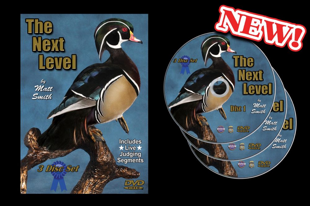 Blue Ribbon Birds – Taxidermy Training & DVD’s by Matt Smith