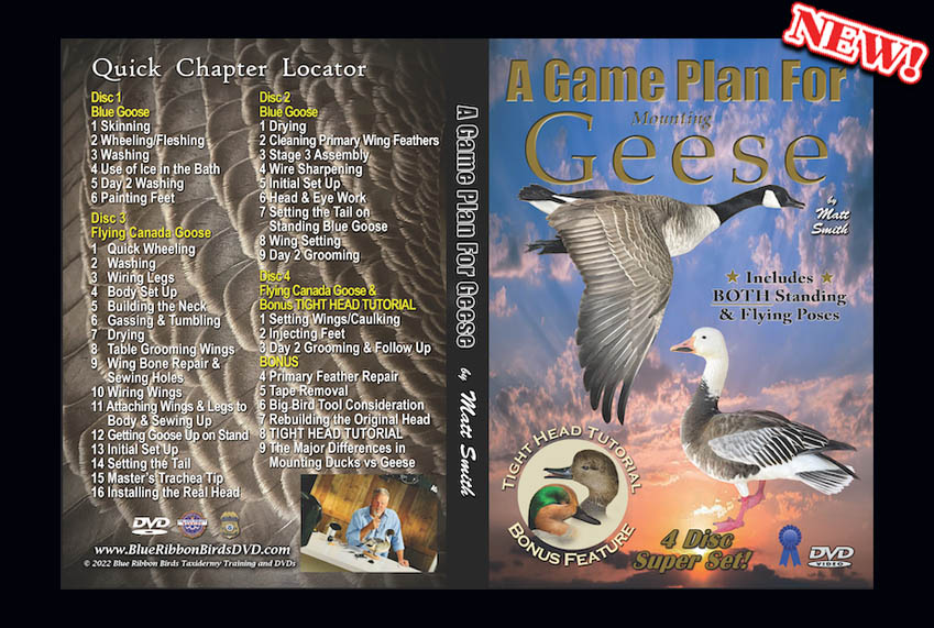 Blue Ribbon Birds – Taxidermy Training & DVDs by Matt Smith