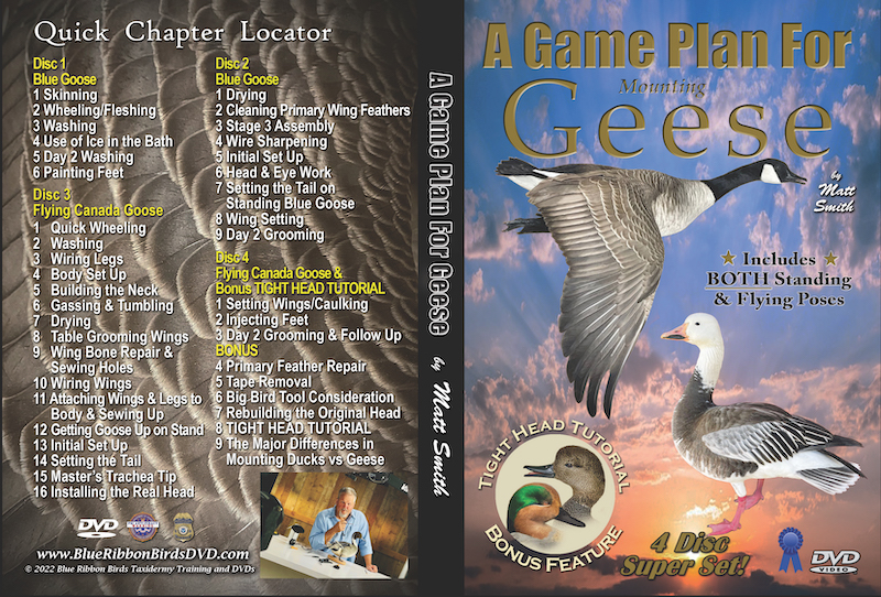 Blue Ribbon Birds – Taxidermy Training & DVDs by Matt Smith