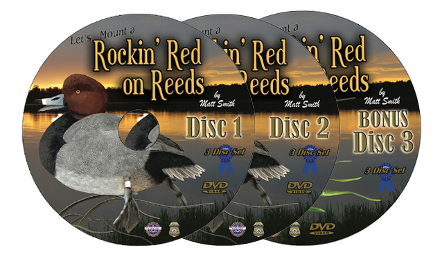 Blue Ribbon Birds – Taxidermy Training & DVDs by Matt Smith